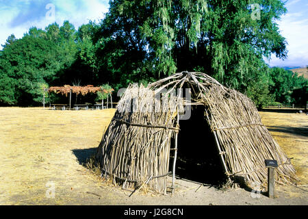 Traditional Pomo Indian dome shaped dwelling made of Tule reeds. Point ...
