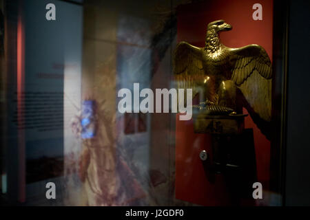 The French Eagle captured by Sgt Ewart of The Scots Greys during the ...