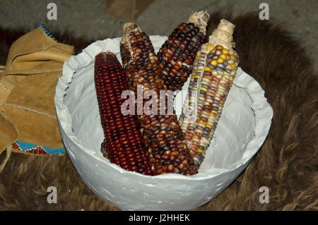 The Mandan, Hidatsa and Arikara Indians grew gardens in their village ...