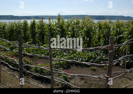 The Mandan, Hidatsa and Arikara Indians grew gardens in their village ...