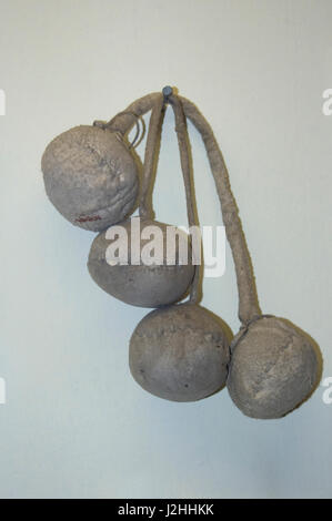 Shinny game balls on display at the Three Affiliated Tribes Museum on ...