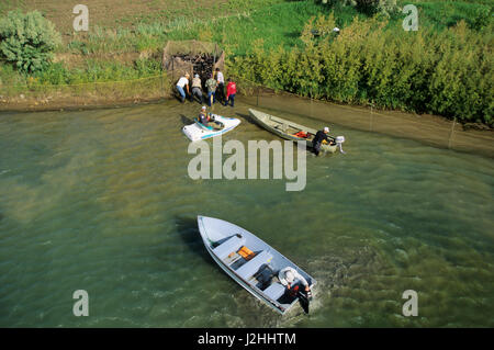 Aerial from helicopter of boats herding Canada geese (Branta canadensis ...