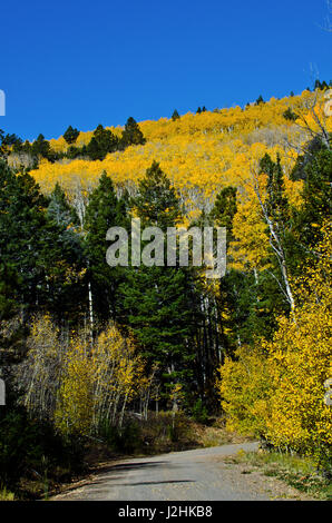 USA, Utah, Boulder, Escalante, Box-Death Hollow Wilderness, Vistas from ...