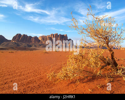 Wadi Rum red sand desert with Jordan flag installation dramatic ...