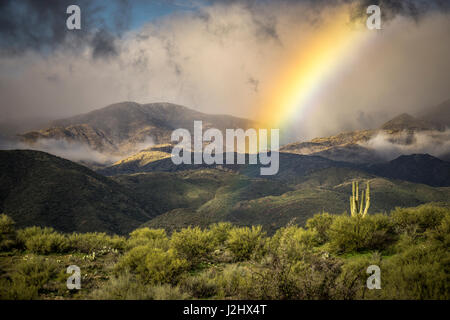 Landscape near Bumble Bee Ranch, Arizona, north of Phoenix Stock Photo ...