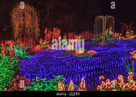 Festival of Lights, Bellevue Botanical Garden, Bellevue, WA, USA Stock ...