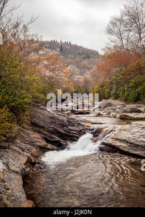 Graveyard Fields, Blue Ridge Parkway, North Carolina, USA Stock Photo ...