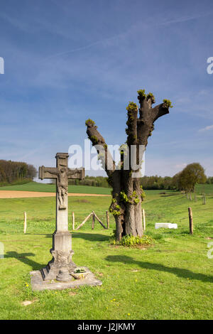 Wayside cross near Terborgh castle Stock Photo - Alamy