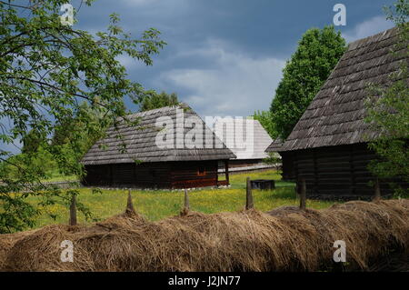 Typical traditional romanian houses and barns on display at the village ...