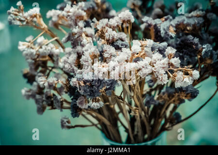 Statice flowers violet color Stock Photo - Alamy