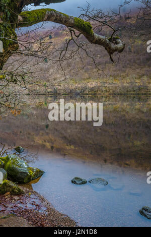 Landscapes alongh the shores of Loch Ness, a large, deep, freshwater ...