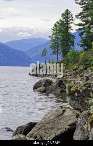The shore of Teletskoye Lake, a view from the coast Stock Photo - Alamy