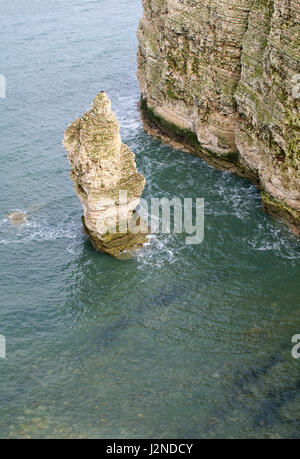 A sea stack Flamborough Head East Yorkshire UK Stock Photo - Alamy