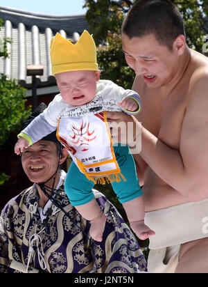 Babies held by an amateur sumo wrestler cry during the "baby crying ...