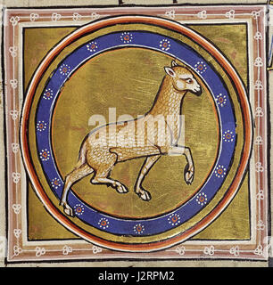 Folio 21r - Sheep. De vervece; the ram. De agno; the lamb. De hyrco ...
