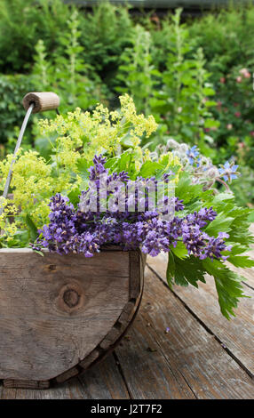 Fresh medicinal herbs on wooden background Stock Photo - Alamy