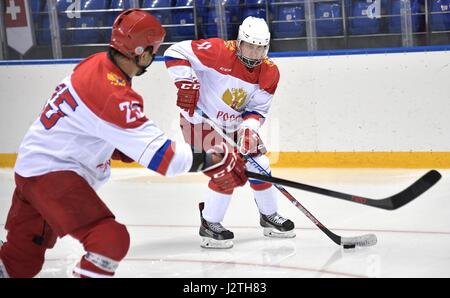 Russian President Vladimir Putin plays with his dog Yume, a Akita-inu ...
