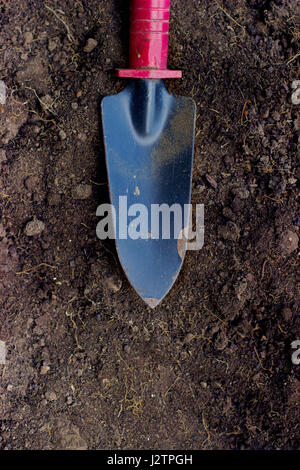 Plant, fertilizer and trowel on soil outdoors, top view Stock Photo - Alamy