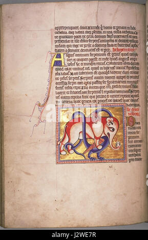 This *Bestiary* folio from Aberdeen features a detailed depiction of a panther. The illuminated ...