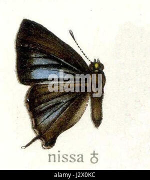 This appears to be a file or image reference with the title being a combination of a date and a ...