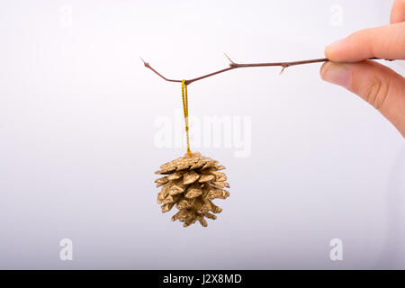 Pine cone in hand at the edge of a stick Stock Photo - Alamy