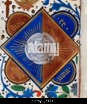 The 'Royal Vincent of Beauvais' rose painting, featuring the Yorkist ...