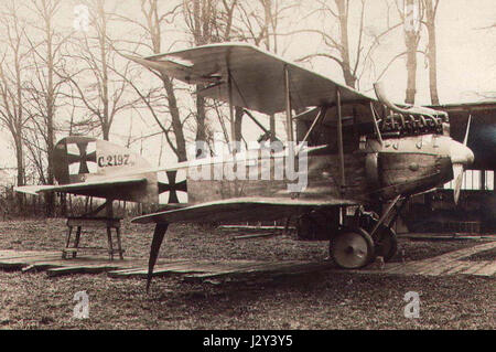 The Albatros D VII, a German World War I fighter from 1917, powered by ...