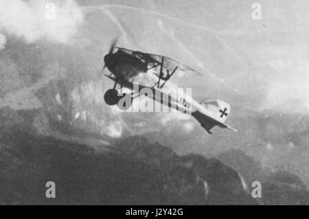 The Albatros D III was a German World War I fighter aircraft, known for ...
