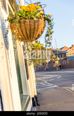 Street flower pots with lilac flowers on paving slabs Stock Photo - Alamy