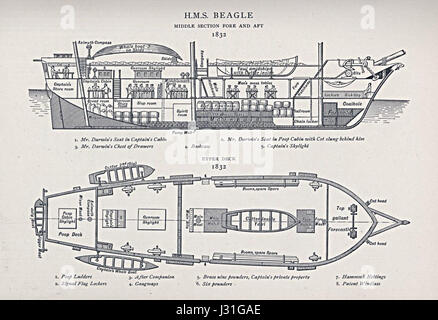 Beagle - plan 1832 Stock Photo - Alamy