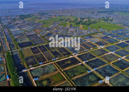 Suqian, Suqian, China. 30th Apr, 2017. Suqian, CHINA-April 30 2017 ...