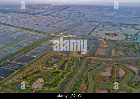 Suqian, Suqian, China. 30th Apr, 2017. Suqian, CHINA-April 30 2017 ...