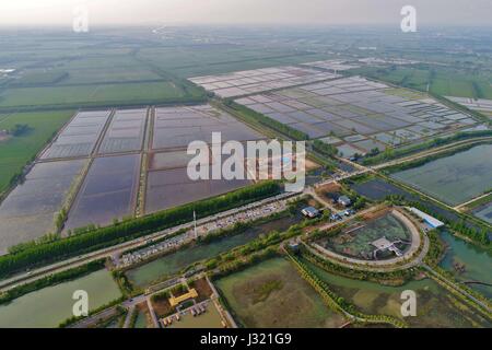 Suqian, Suqian, China. 30th Apr, 2017. Suqian, CHINA-April 30 2017 ...