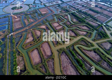 Suqian, Suqian, China. 30th Apr, 2017. Suqian, CHINA-April 30 2017 ...