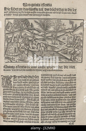 The 16th century illustration of surgery and surgical operations in the ...