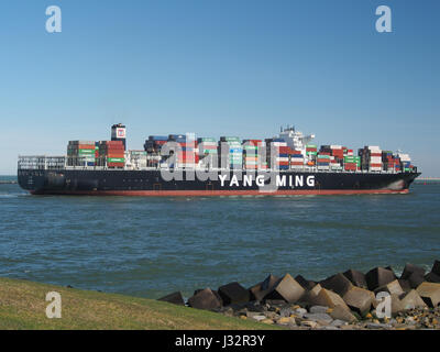 YM Width is a 2016-built vessel with IMO number 9708447, arriving at ...