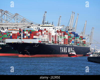 YM Width is a 2016-built vessel with IMO number 9708447, arriving at ...
