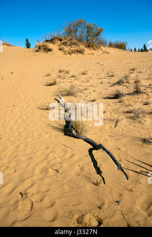 Sand dunes and hiking trails of Spirit Sands. Spruce Woods Provincial ...