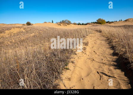 Sand dunes and hiking trails of Spirit Sands. Spruce Woods Provincial ...