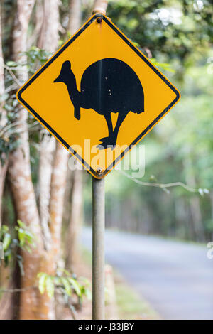Southern Cassowary road warning sign Photographed in northern ...