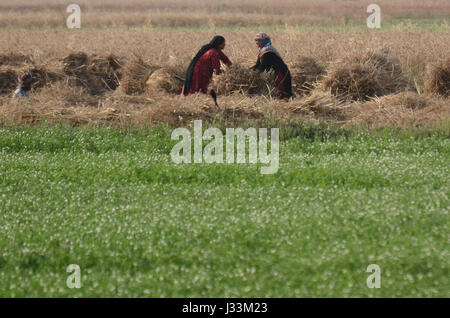 Lahore, Pakistan. 02nd May, 2017. Pakistani people busy in their ...