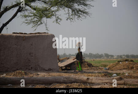 Lahore, Pakistan. 02nd May, 2017. Pakistani people busy in their ...