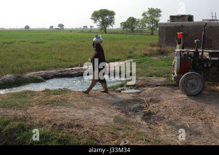 Lahore, Pakistan. 02nd May, 2017. Pakistani people busy in their ...
