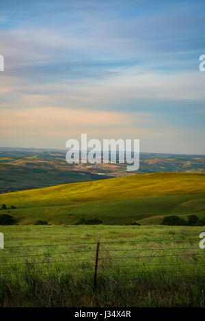 Spring flowers mear the Columbia River Gorge Stock Photo - Alamy