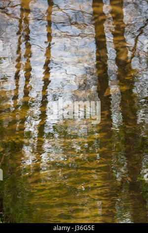 Sandy bottom of the stream and abstract reflections in the water Stock ...