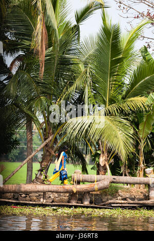 Life along the banks of the Kerala backwaters Stock Photo - Alamy