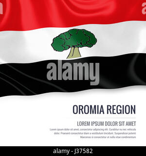 Area of Oromia, state of Ethiopia, isolated on a solid background in a ...