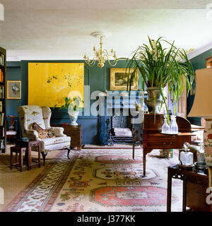 Green Plant in the Living Room - Isolated Object with the White ...