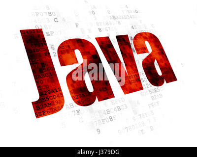 Database concept: Java on Digital Data Paper background Stock Photo - Alamy