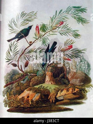 Christopher Webb Smith00 Stock Photo - Alamy